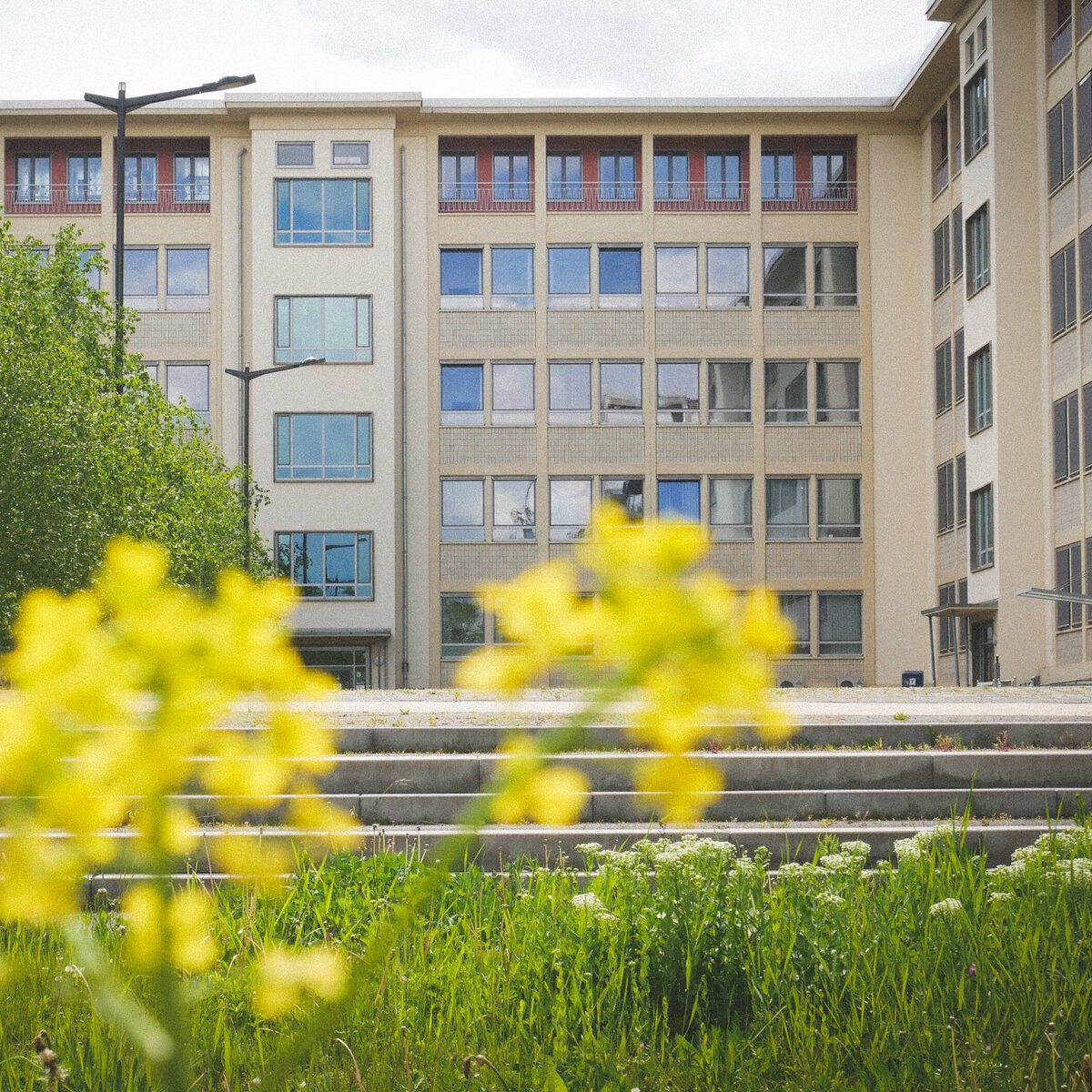 Alumni - Campusrundgang: Hochschule Merseburg