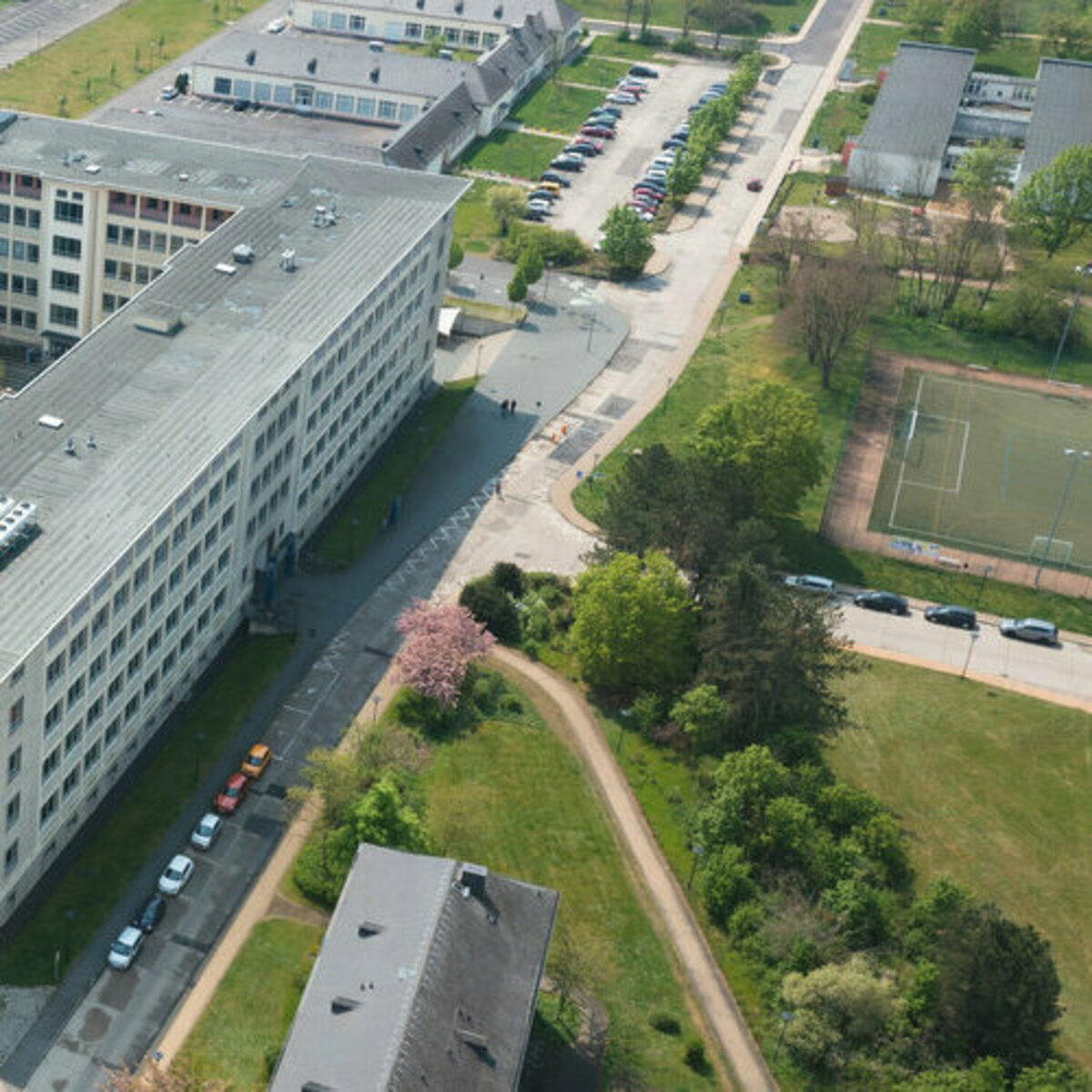 Professor*in werden: Hochschule Merseburg